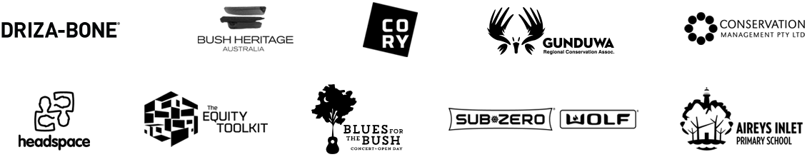 Creative - skeleton gamblers